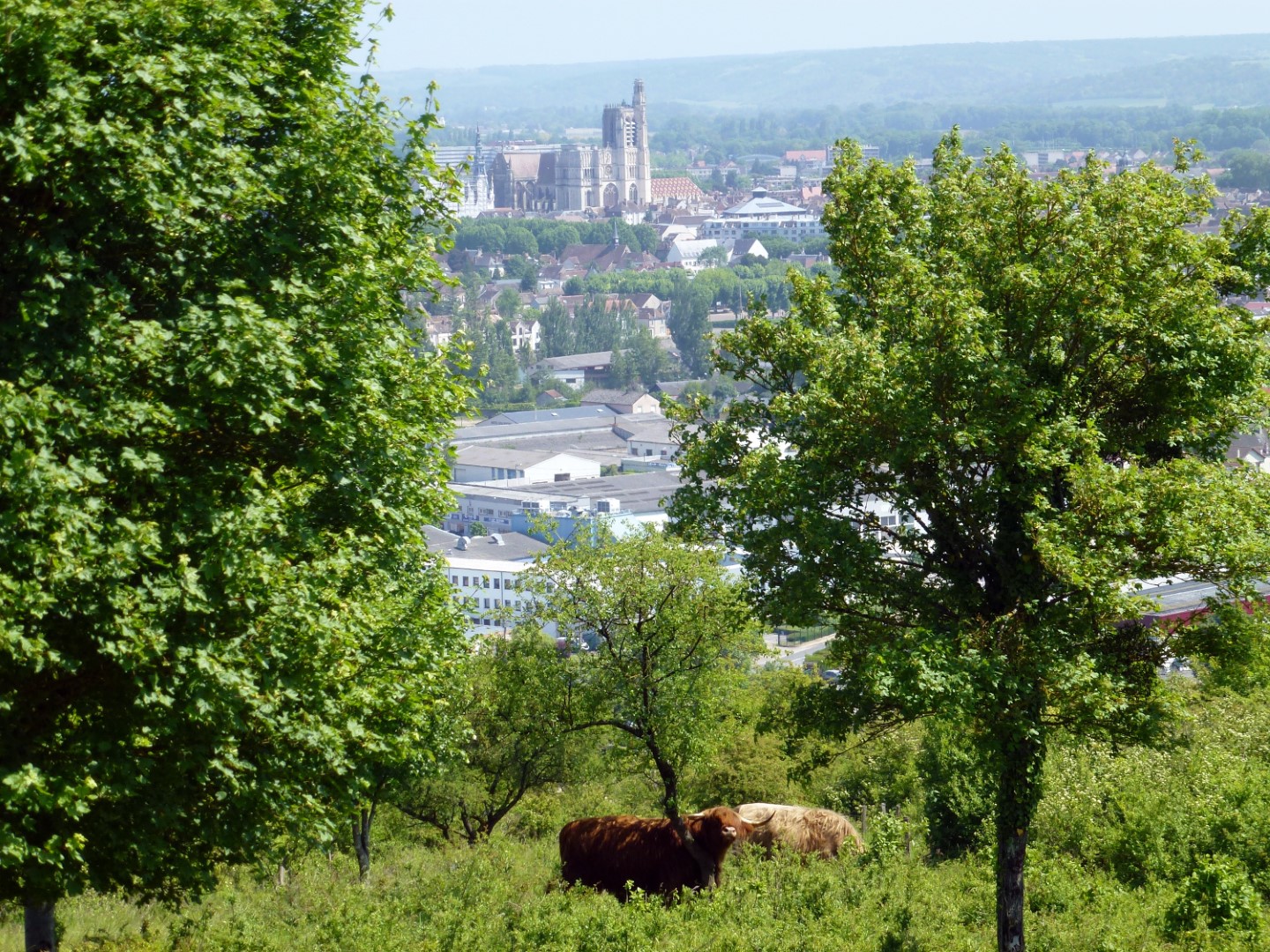 Sens - Bourgondië Toerist