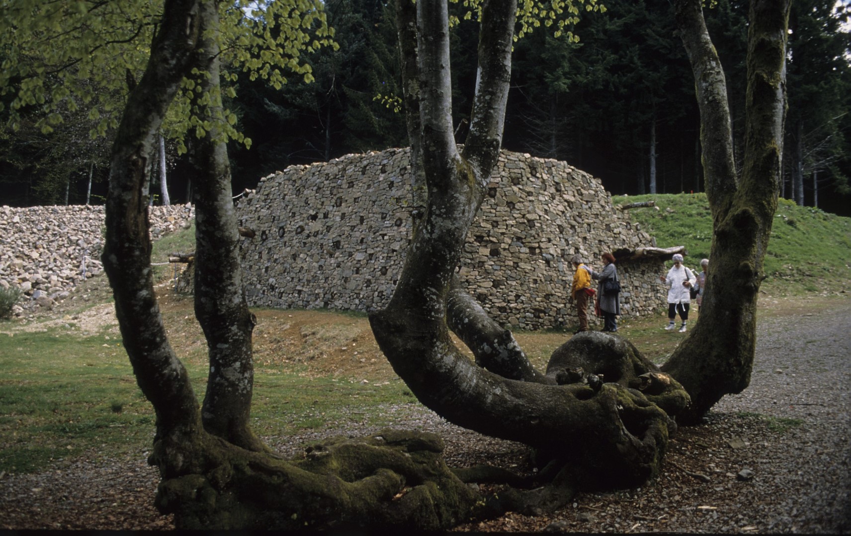 Wandelroute Opgravingen versterkingen Bibracte - Wandelen in de Morvan ...
