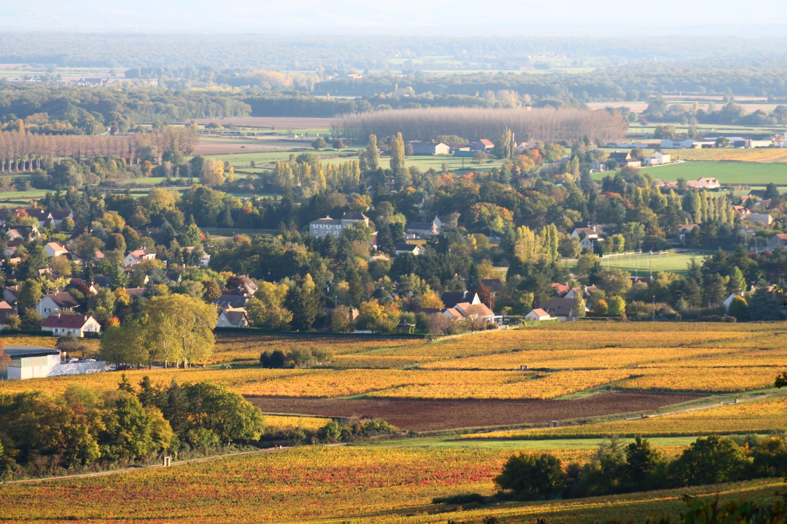 Wandelroute Wijngaarden en Wijnhutjes Givry - Wandelen in de Chalonnais ...