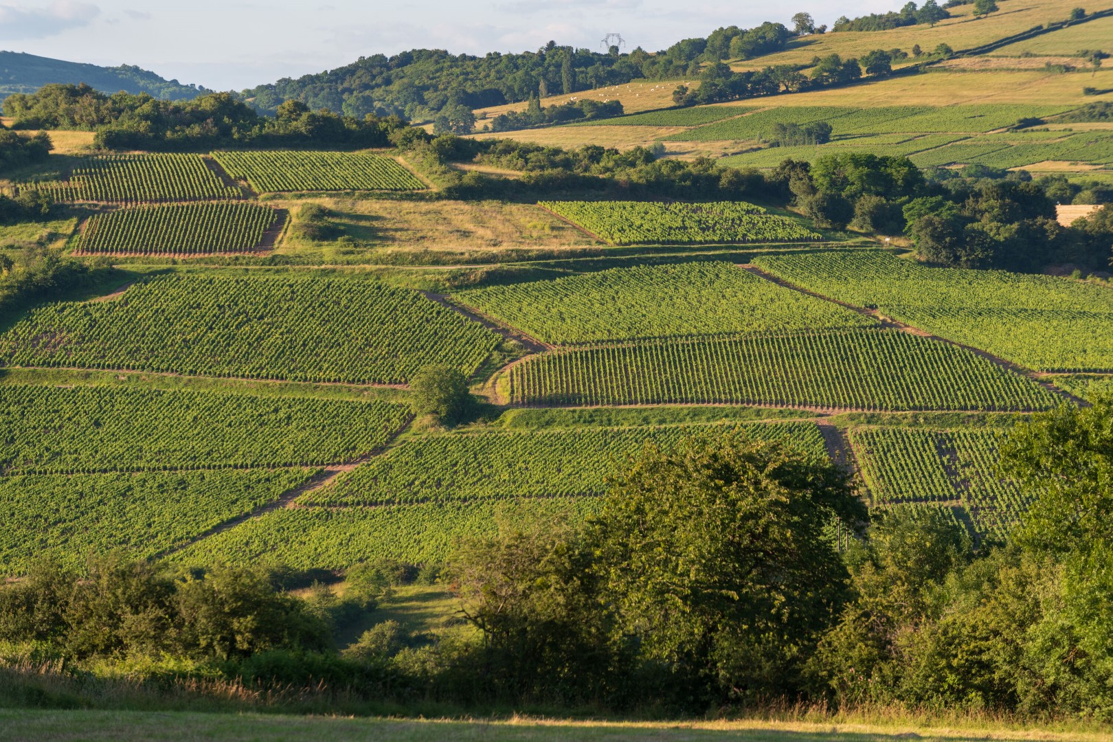 Côte du Couchois - Bourgondië Toerist