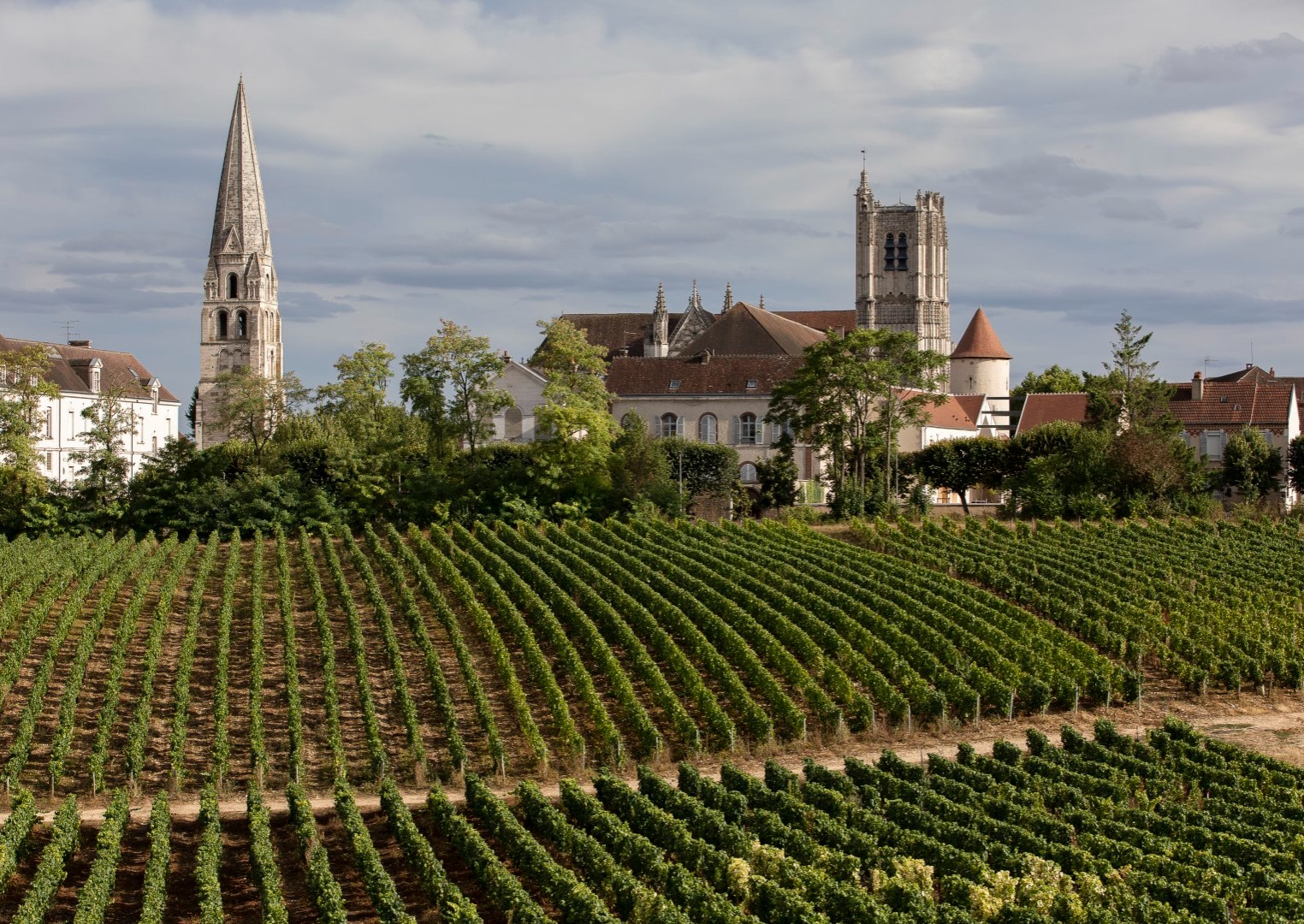 Clos de la Chainette - Bourgondië Toerist