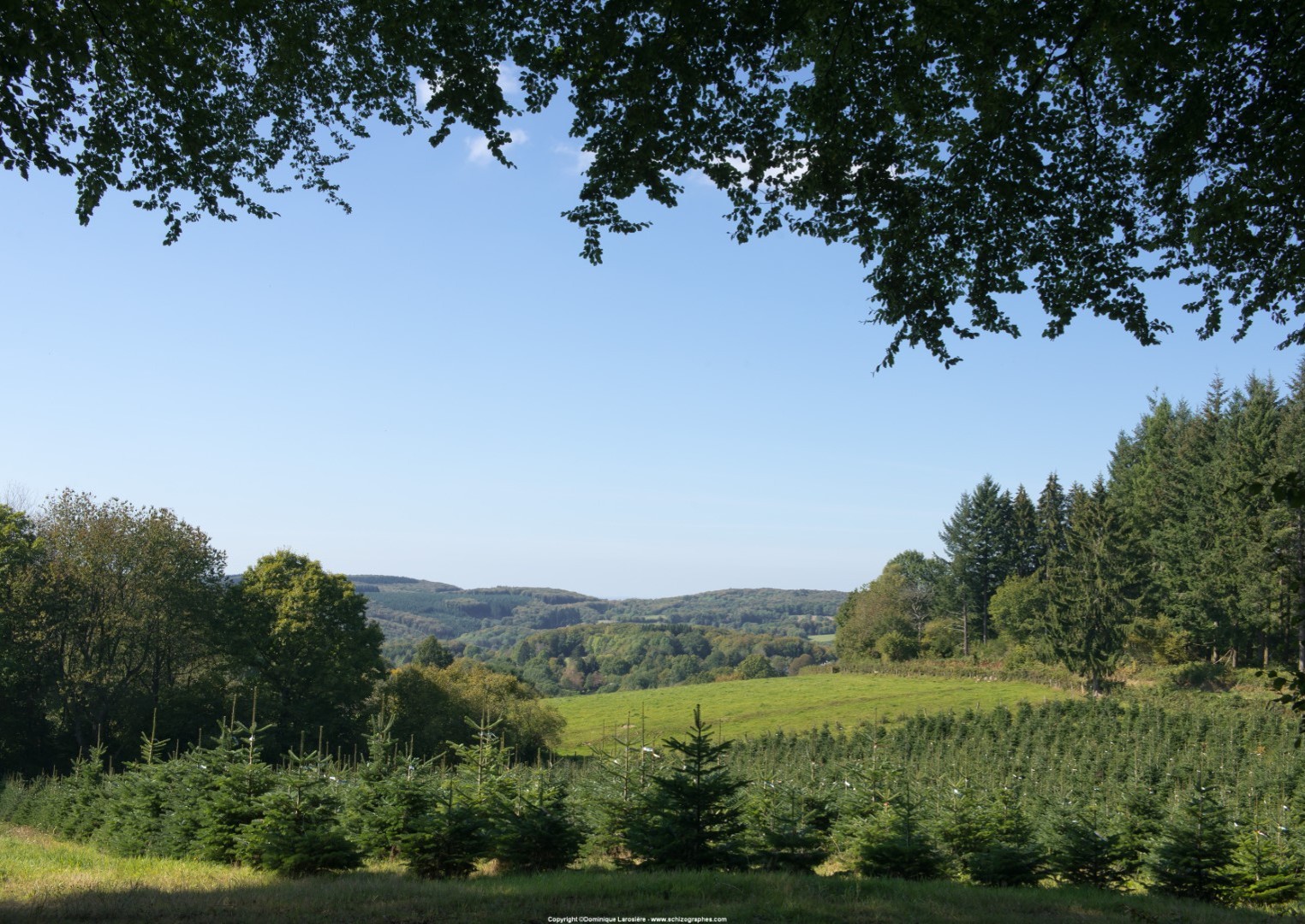 Wandelroute Steen van Boron - Wandelen in de Morvan in Bourgondië ...